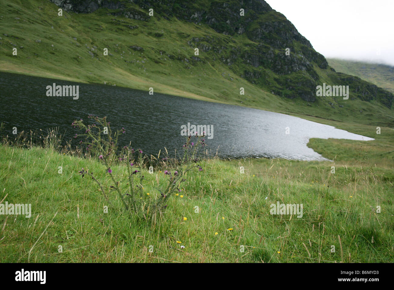 Scottish lock hi-res stock photography and images - Alamy