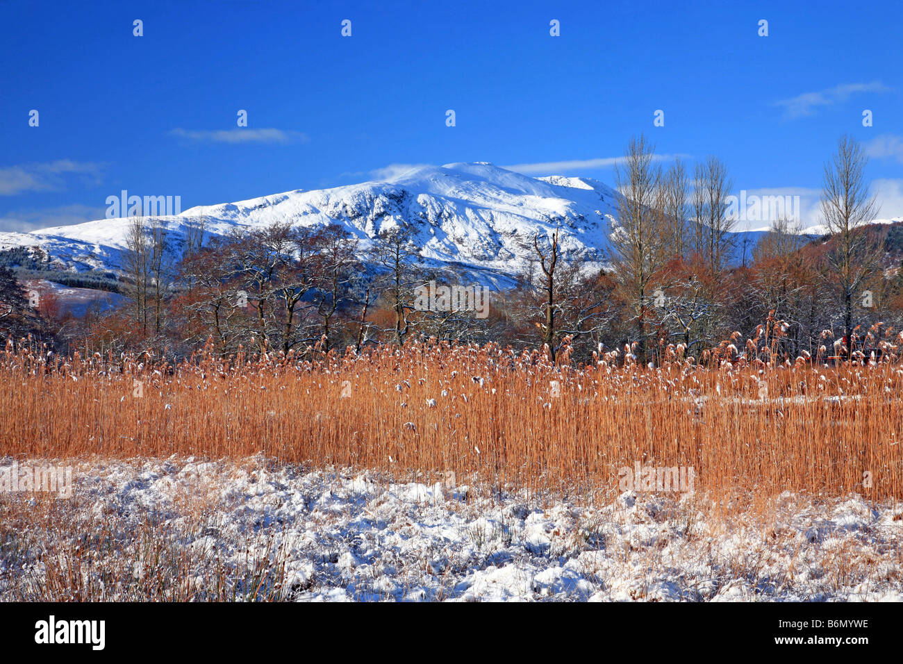 Schiehallion mountain Perthshire Scotland UK Stock Photo - Alamy