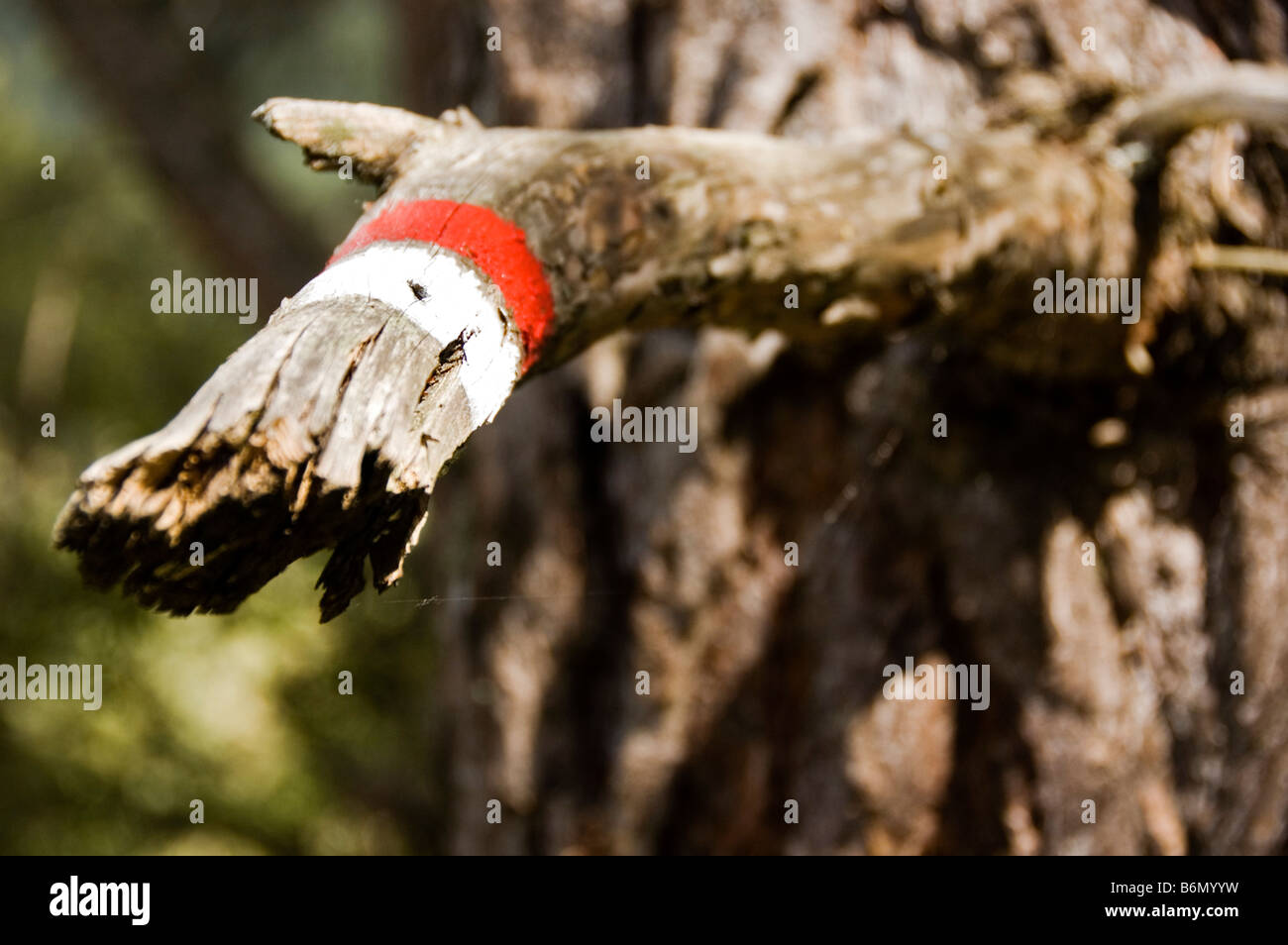 Mark sign hi-res stock photography and images - Alamy