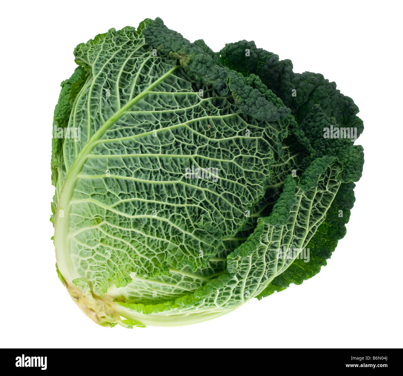 Kale on white background hi-res stock photography and images - Alamy