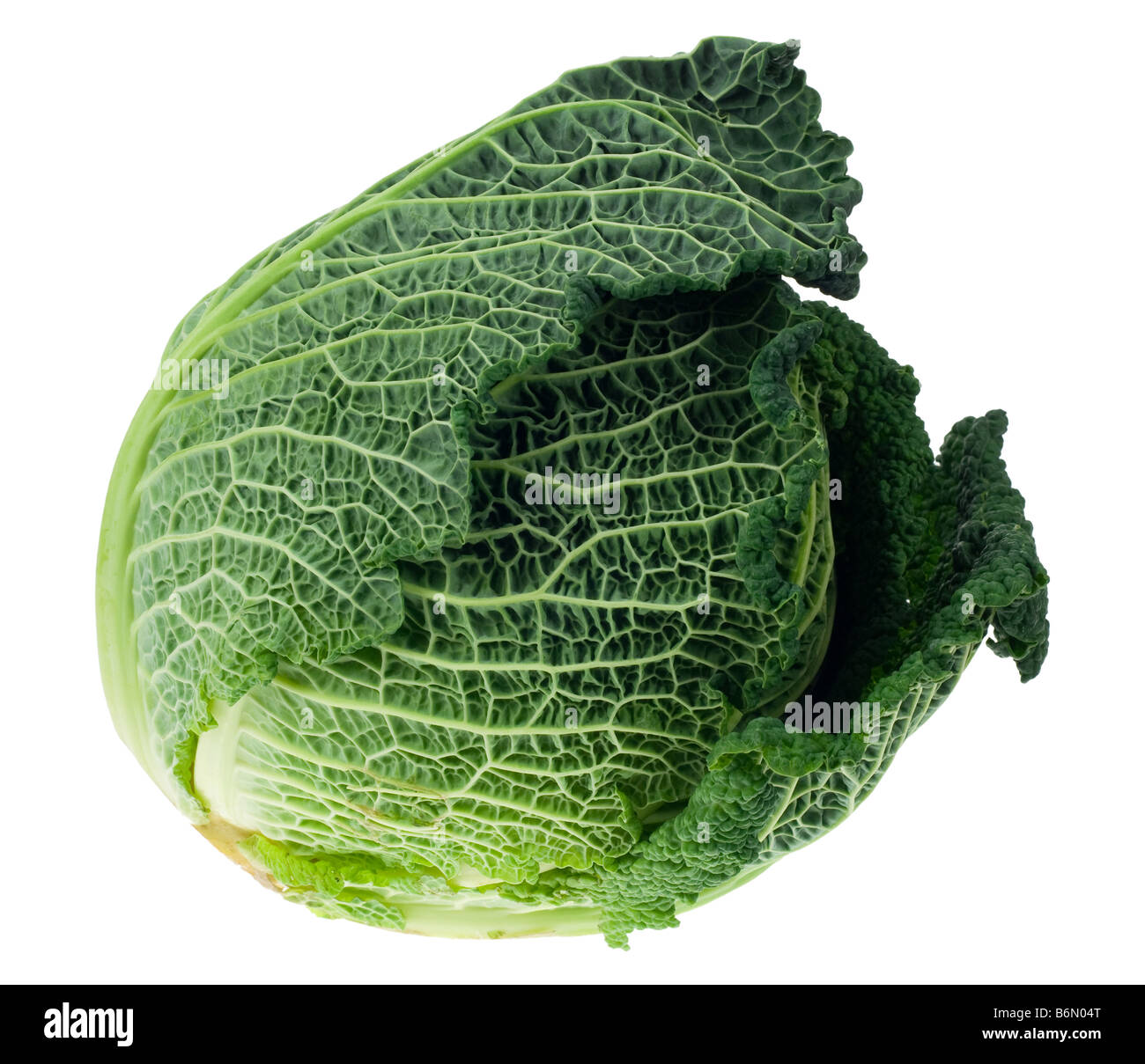 fresh kale isolated on a white background Stock Photo - Alamy