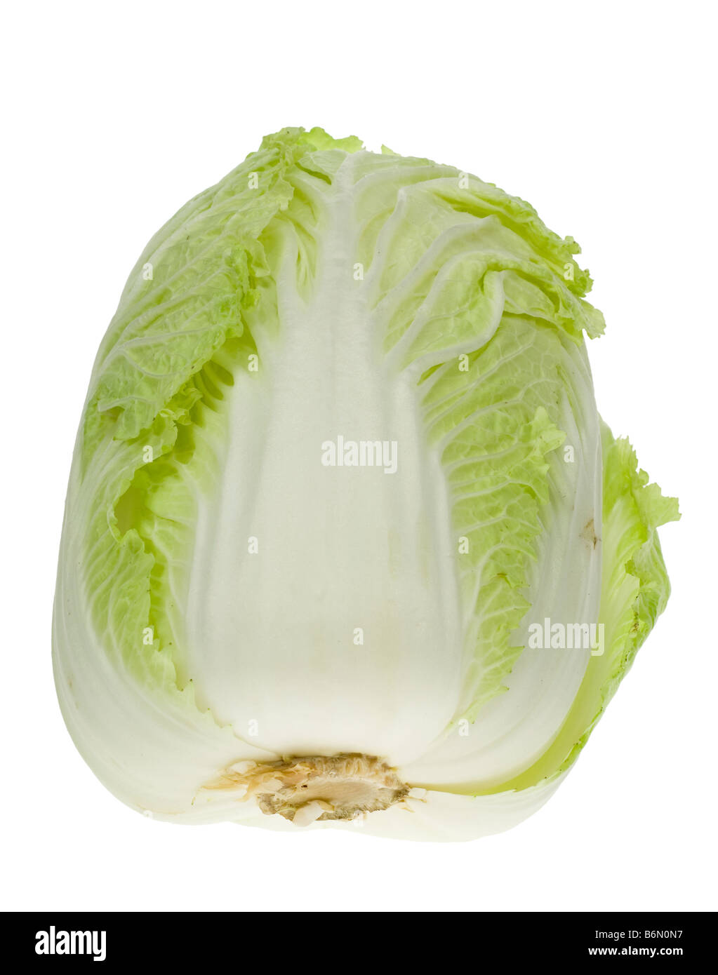 fresh chinese cabbage isolated on a white background Stock Photo - Alamy