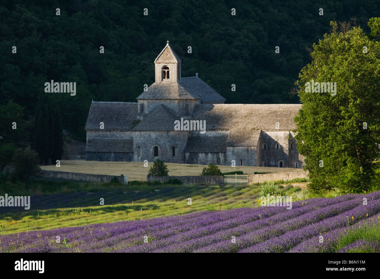 The romanesque cistercian abbey of notre dame of senanque hi-res stock ...