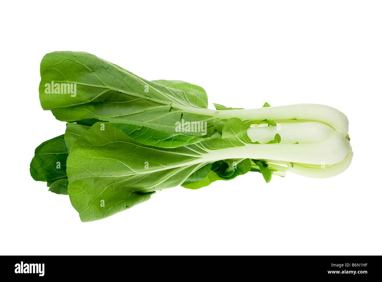 fresh pak Choy isolated on a white background Stock Photo - Alamy