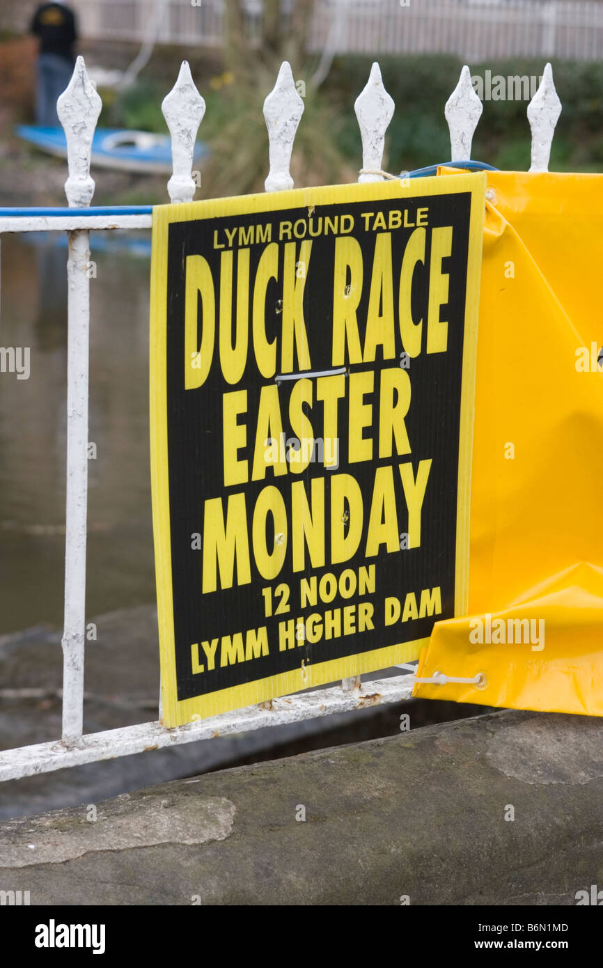 The lymm duck race hi-res stock photography and images - Alamy