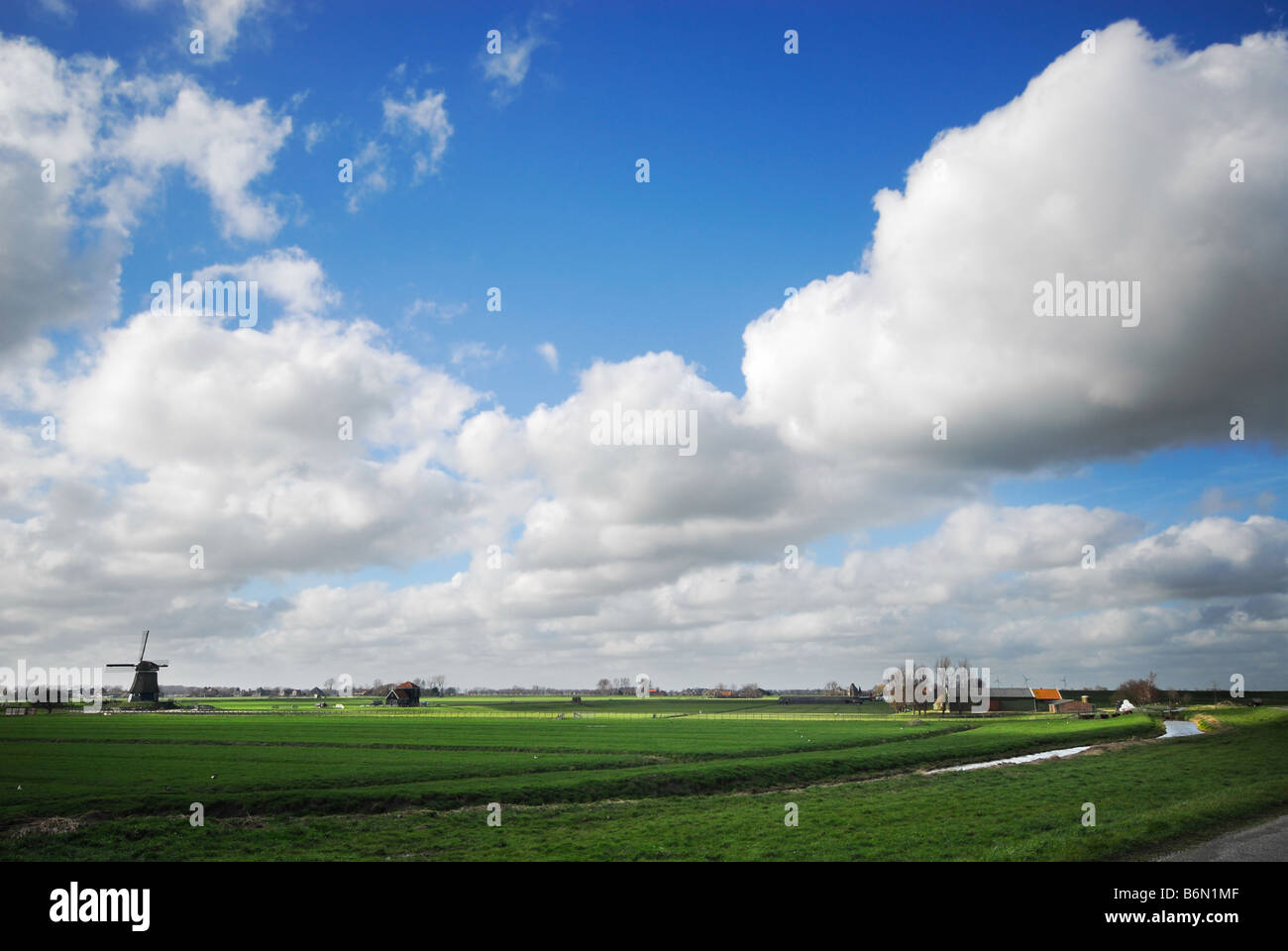 summer landscape in the netherlands Stock Photo - Alamy