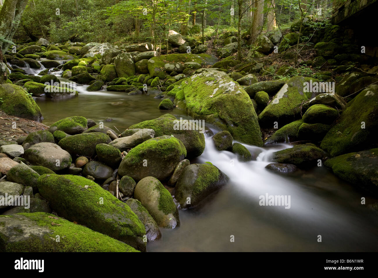 A view of a stream along the Roaring Fork Motor Nature Trail, Great ...