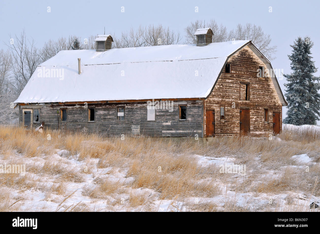 Decaying wood snow hi-res stock photography and images - Alamy