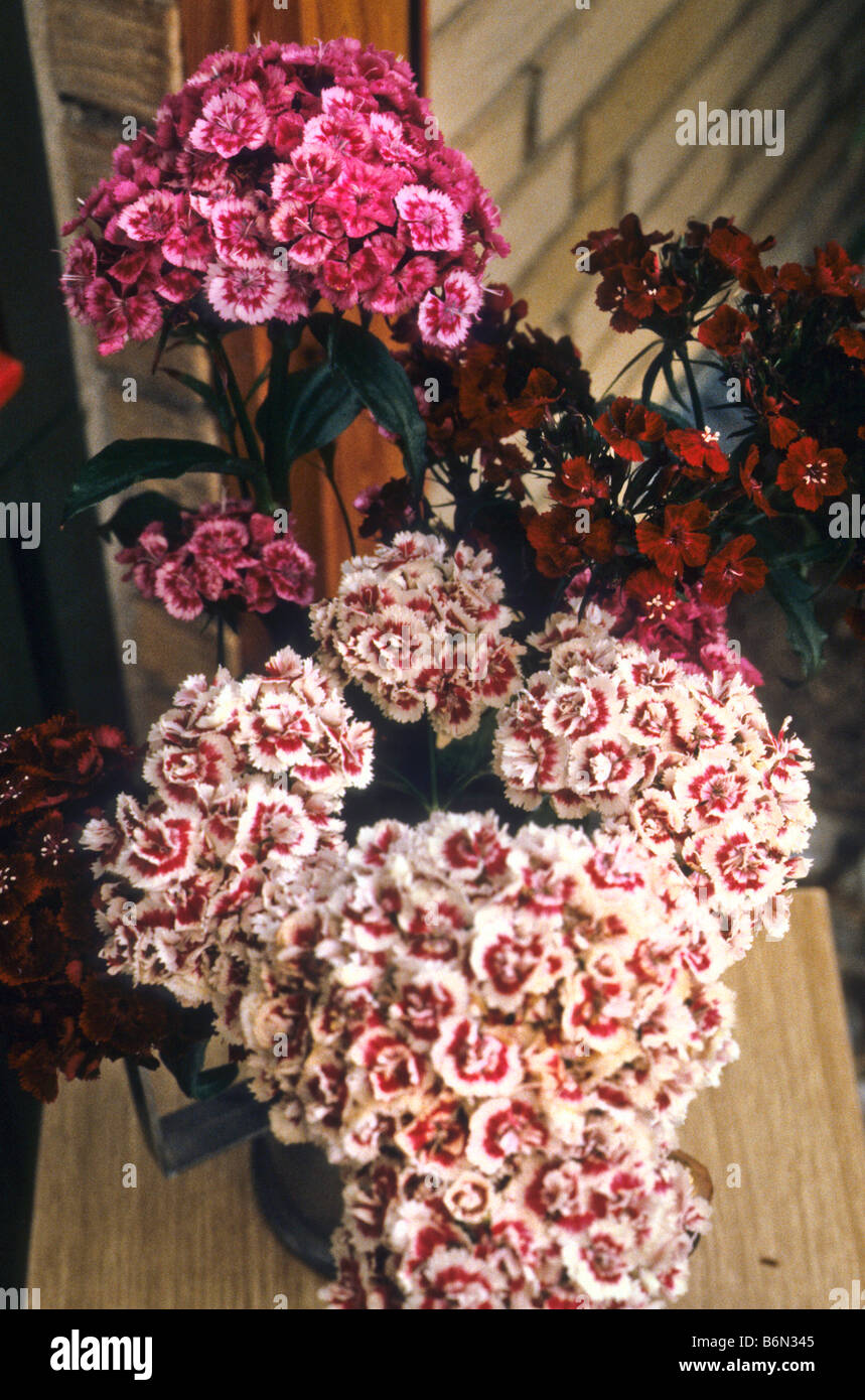 Fragrant floral arrangements hi-res stock photography and images - Alamy