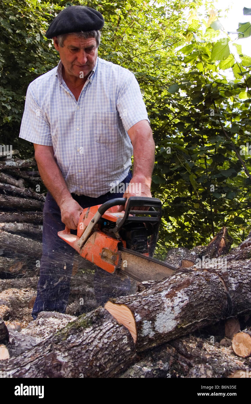 Peasant cutting trees with a chain saw in the Pyrenees Navarre Spain ...