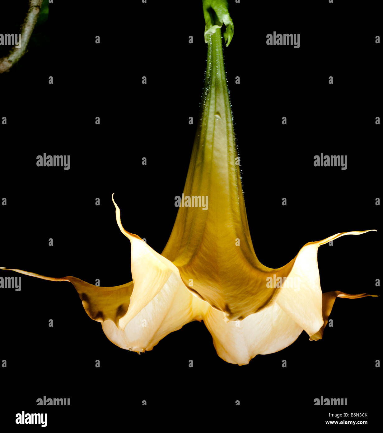 Immemorial hi-res stock photography and images - Alamy