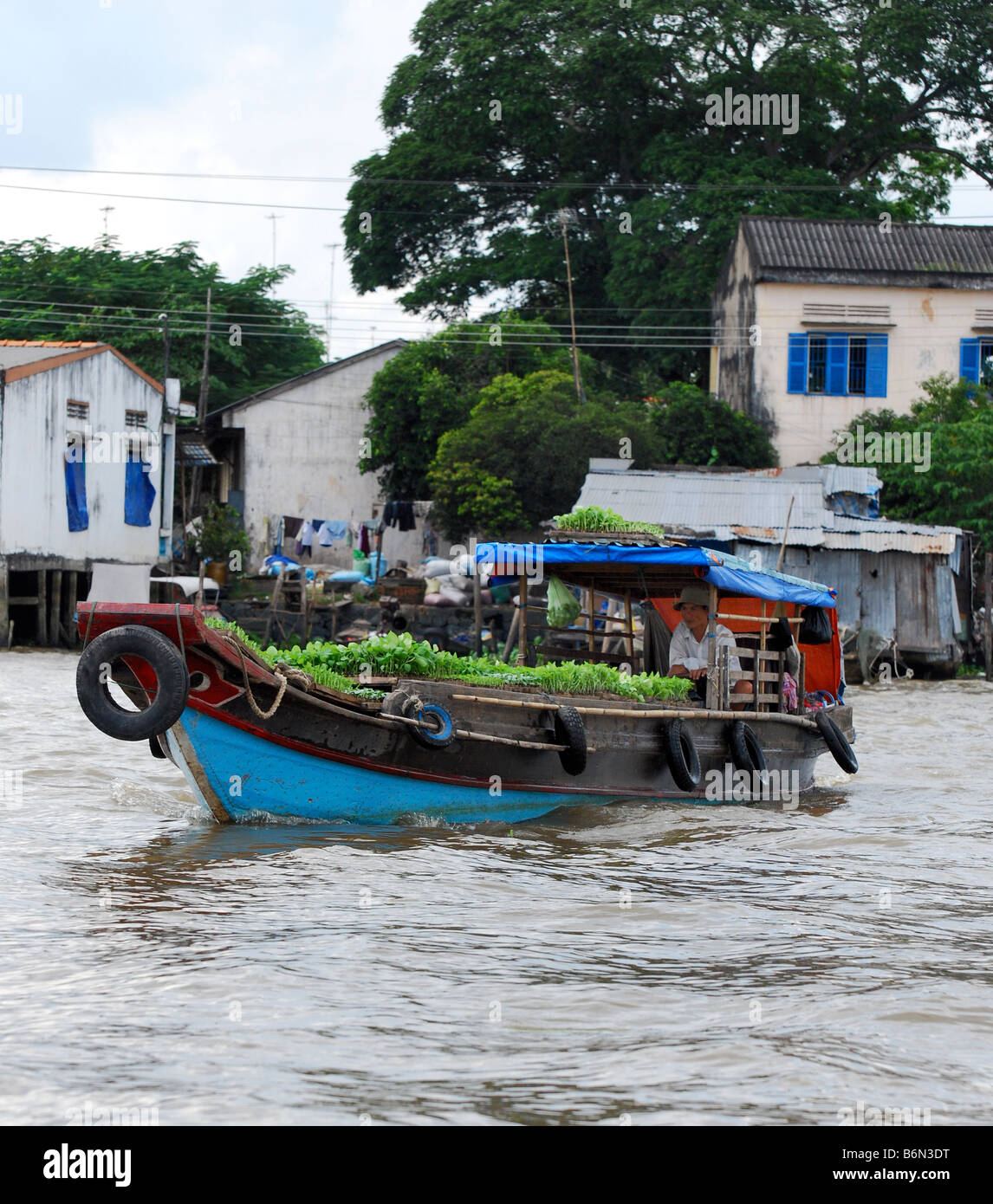 River boat, Cai Be floating market, Mekong Delta, Vietnam Stock Photo ...