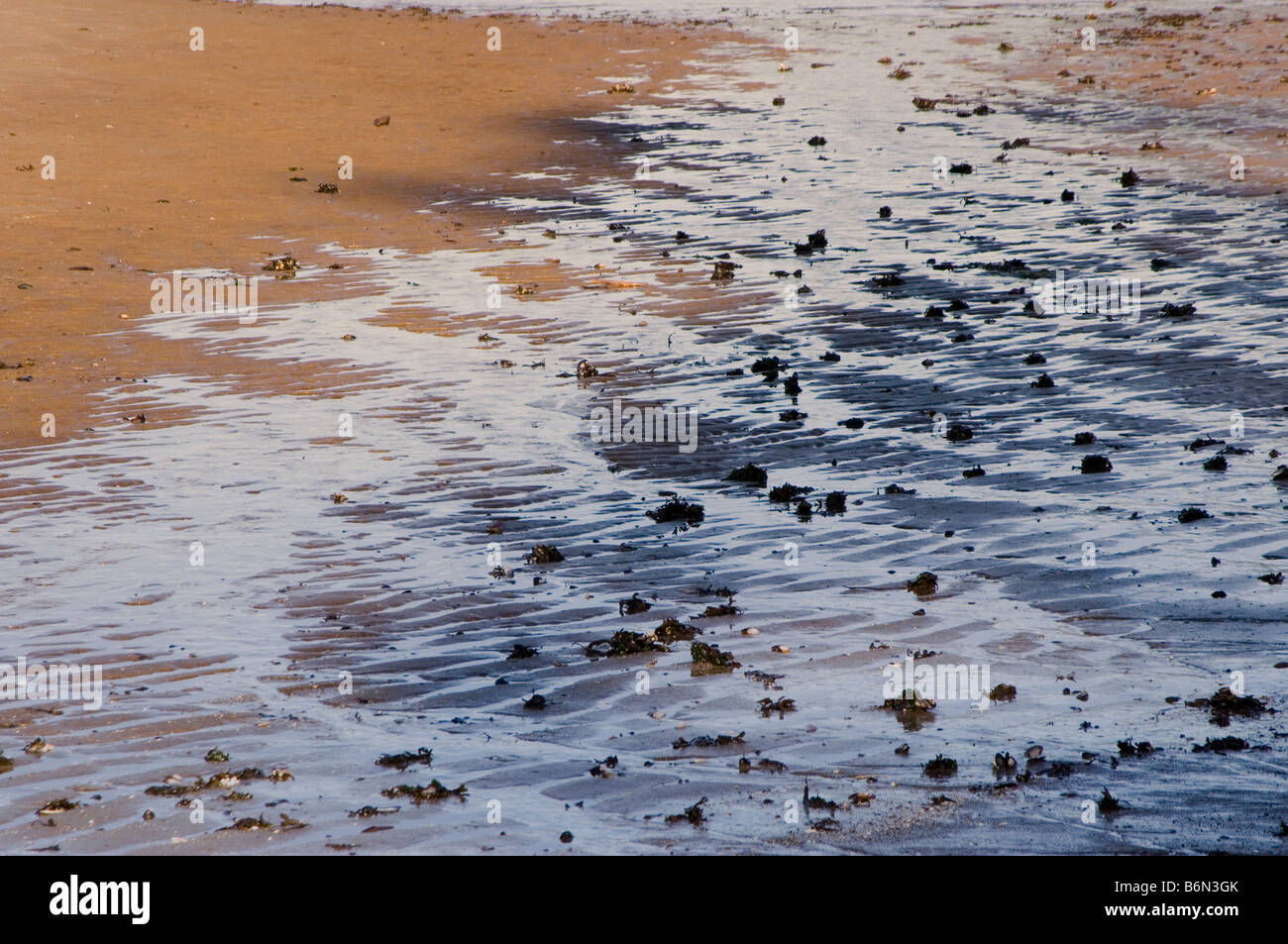 Water ripples patterns abstract hi-res stock photography and images - Alamy