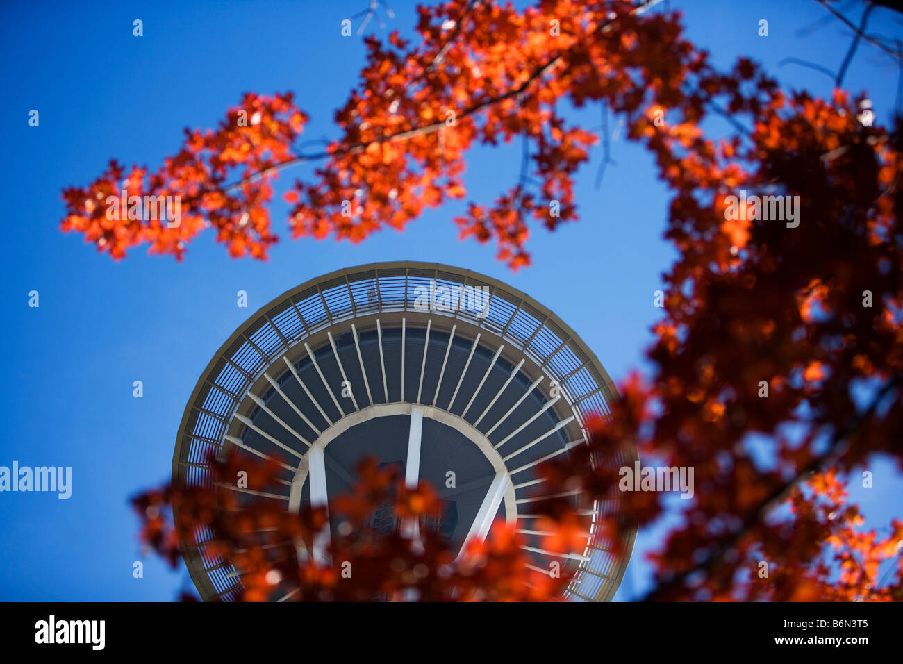 seattle skyline space needle leaves leaf foilage Stock Photo - Alamy