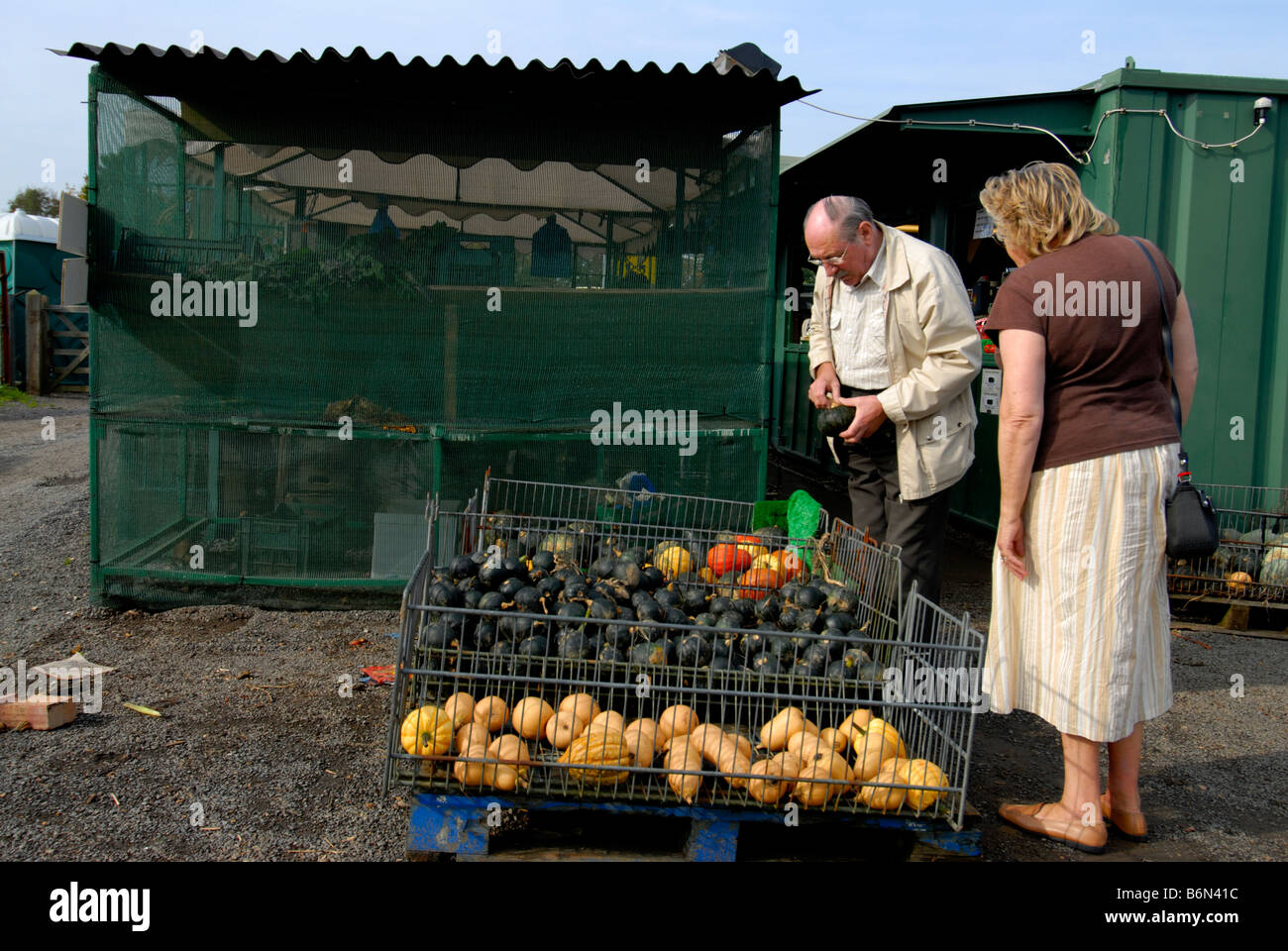 VEGETABLES HARVESTED FROM A FARM IN LONDON COUNTRYSIDE Stock Photo - Alamy
