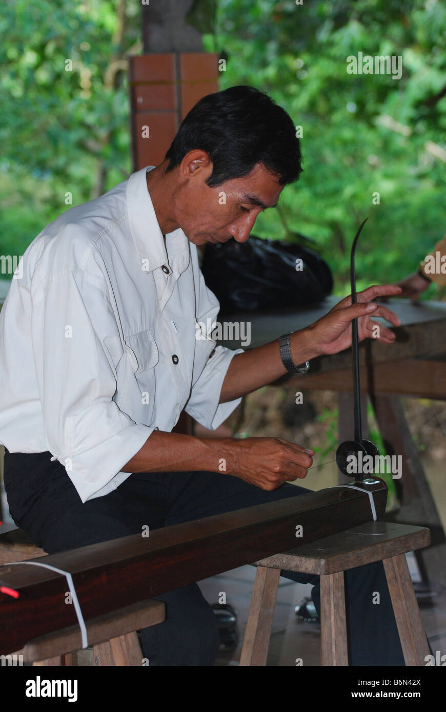Vietnamese instrument hi-res stock photography and images - Alamy