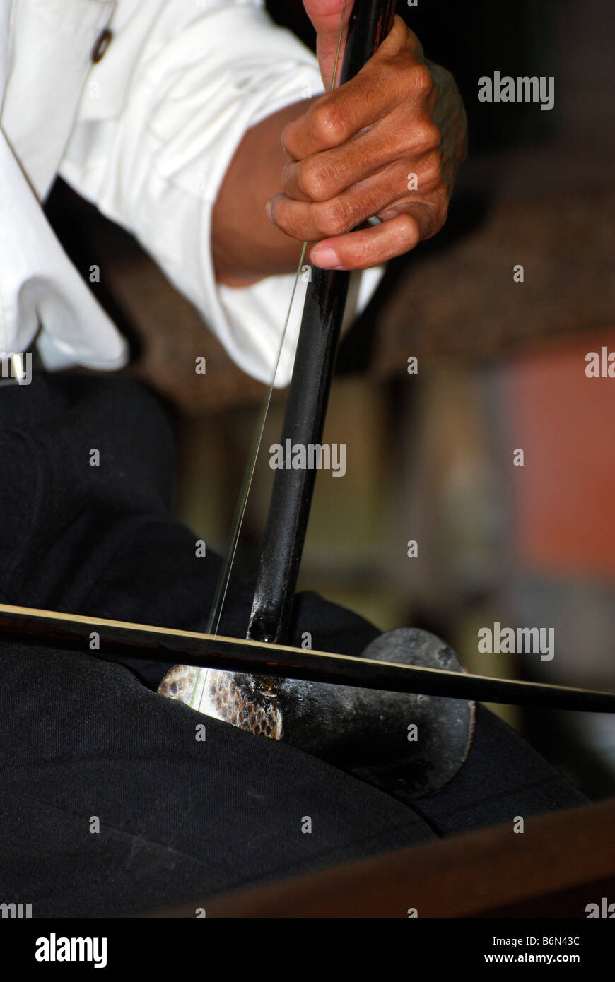 Musician playing the Vietnamese dan bau (one-stringed zither Stock ...