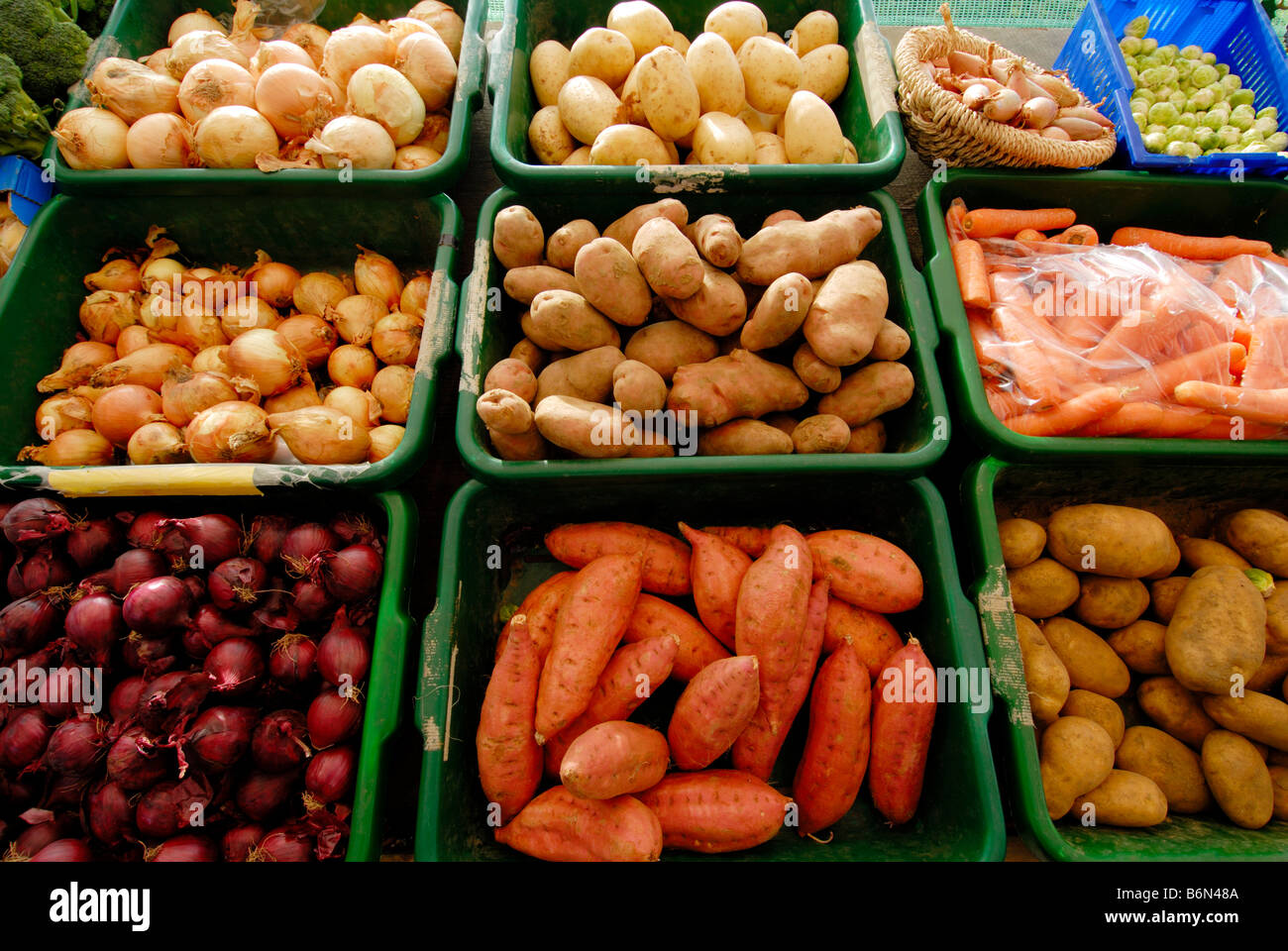 Sorted of vegetables hi-res stock photography and images - Alamy
