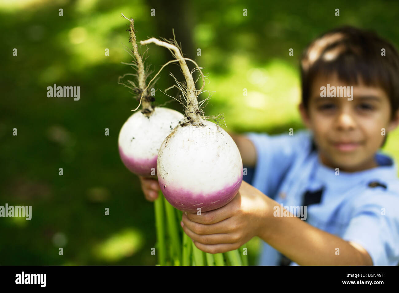 Old turnips hi-res stock photography and images - Alamy