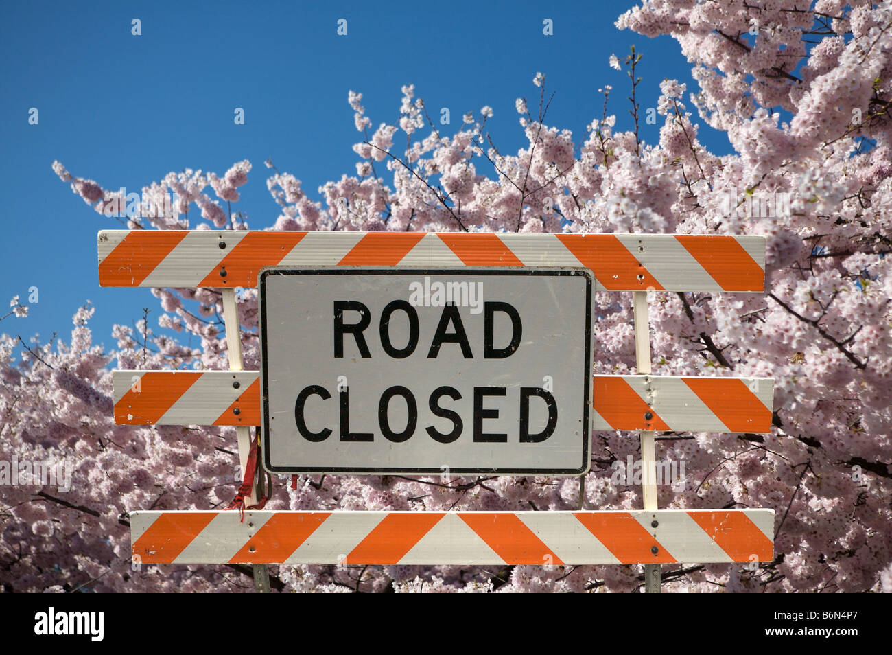 road closed traffic sign Stock Photo - Alamy