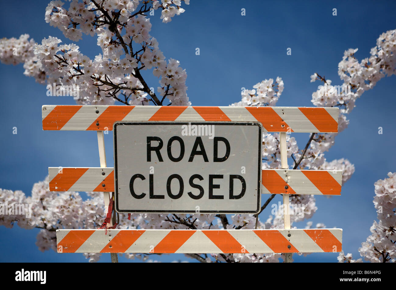 road closed traffic sign Stock Photo - Alamy