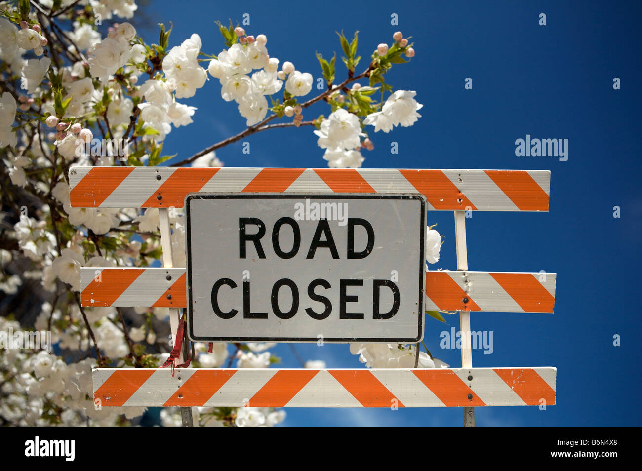 road closed traffic sign Stock Photo - Alamy