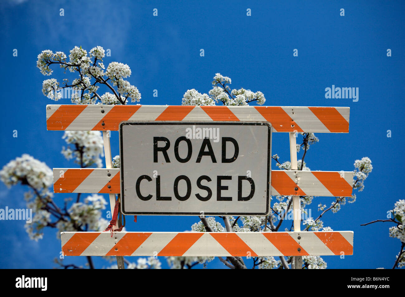 road closed traffic sign Stock Photo - Alamy