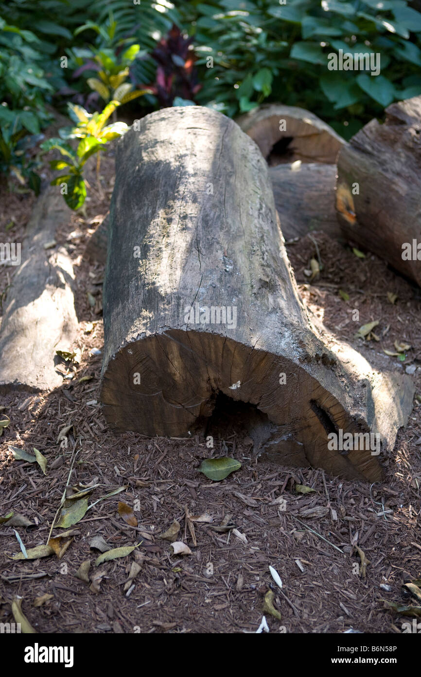 Wood log hi-res stock photography and images - Alamy