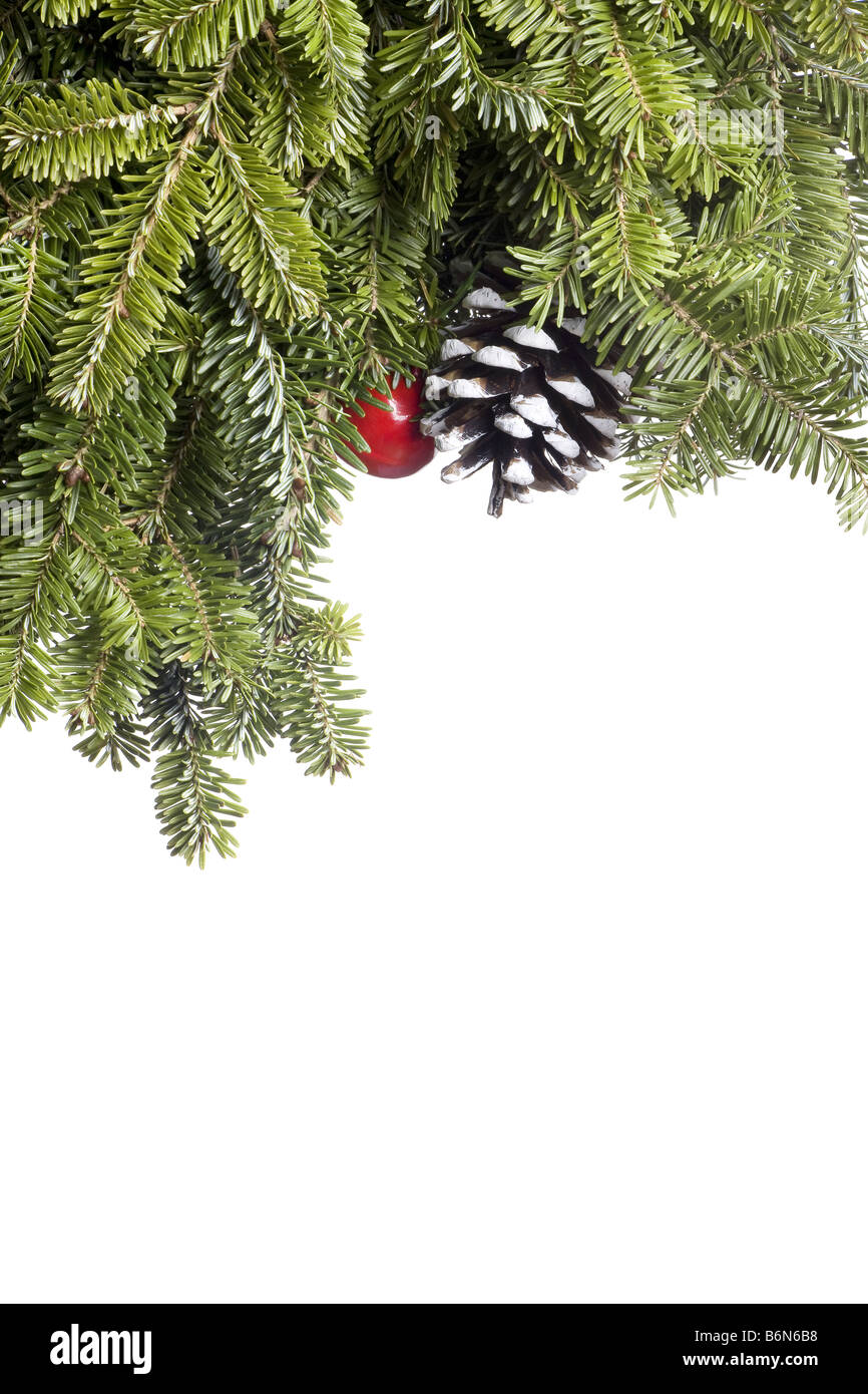 Christmas Evergreen decoration isolated on white background Stock Photo ...