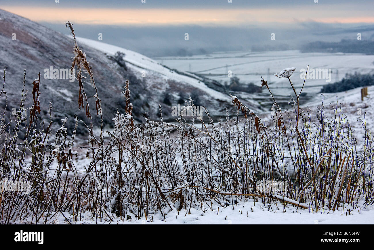 Scottish borders. Winter scene Stock Photo - Alamy