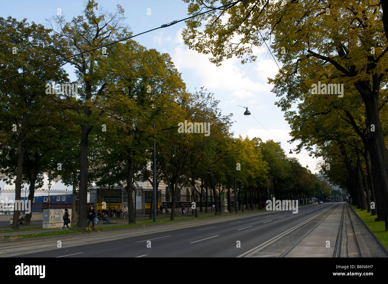 Street lined with trees in Vienna Austria Stock Photo - Alamy