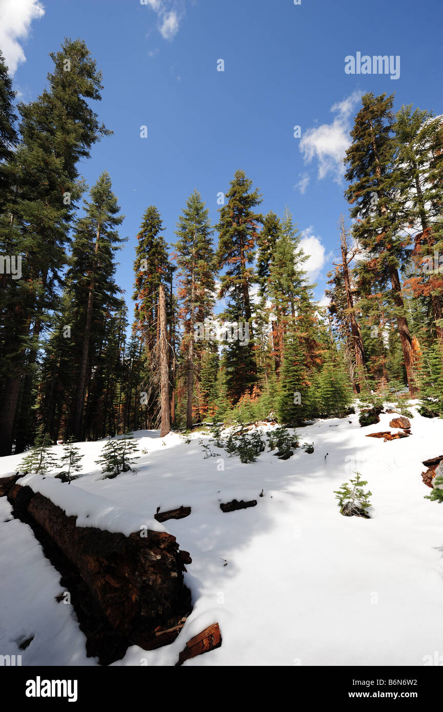 Yosemite national park snow frozen hi-res stock photography and images ...