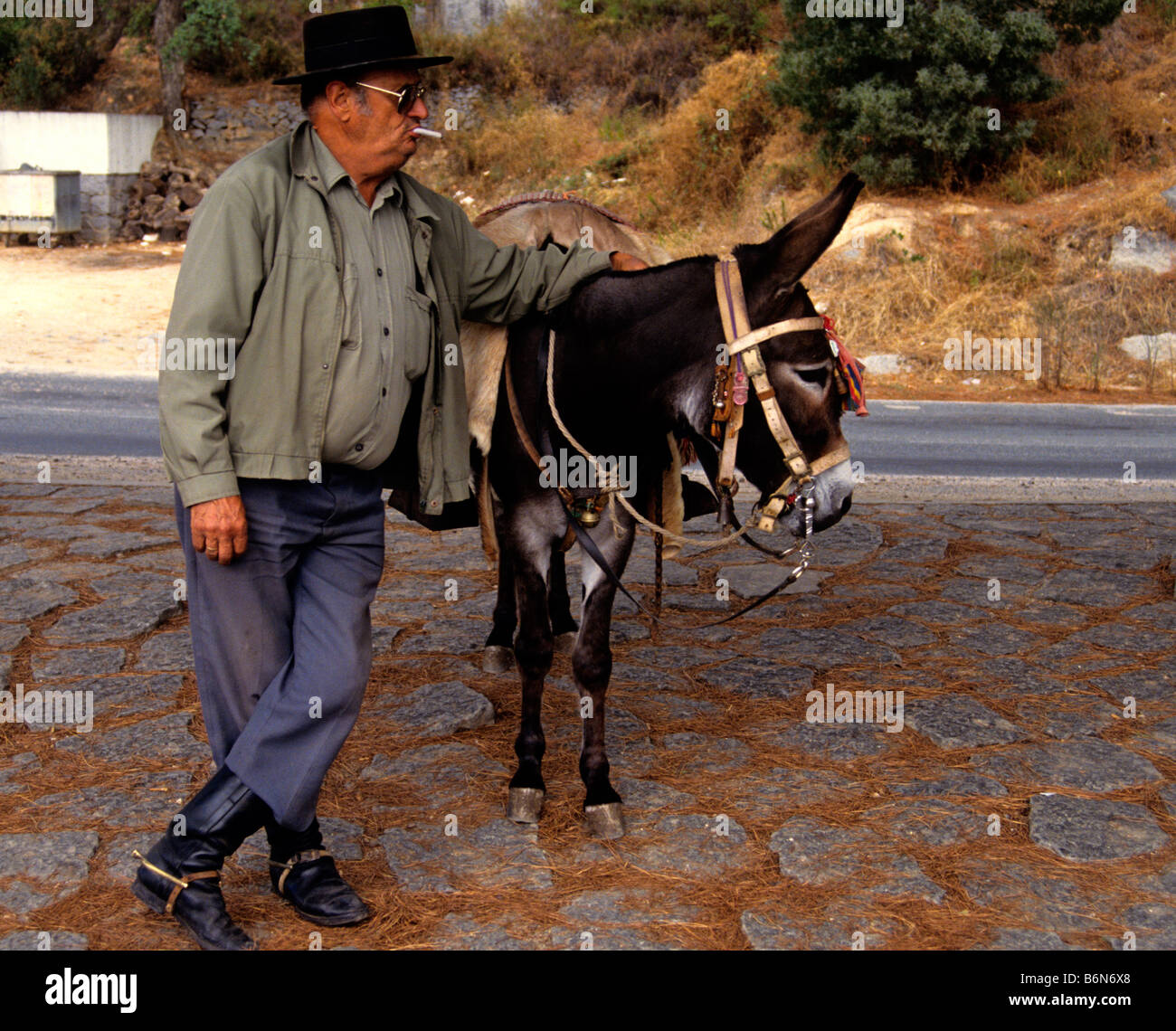Man donkey spanish hi-res stock photography and images - Alamy