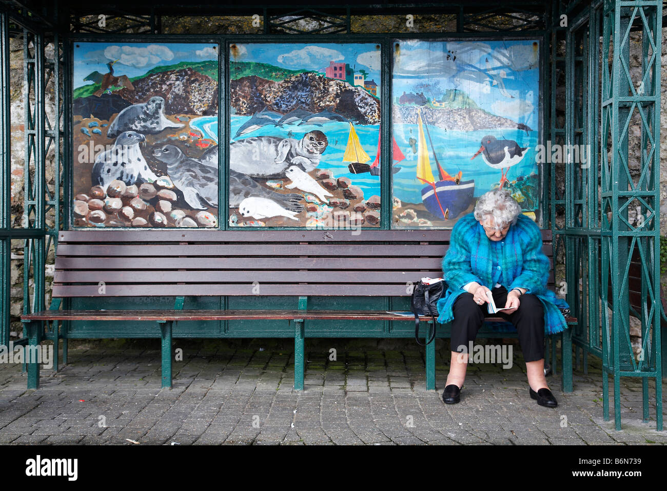 Old lady sat reading on bench in Tenby Stock Photo - Alamy