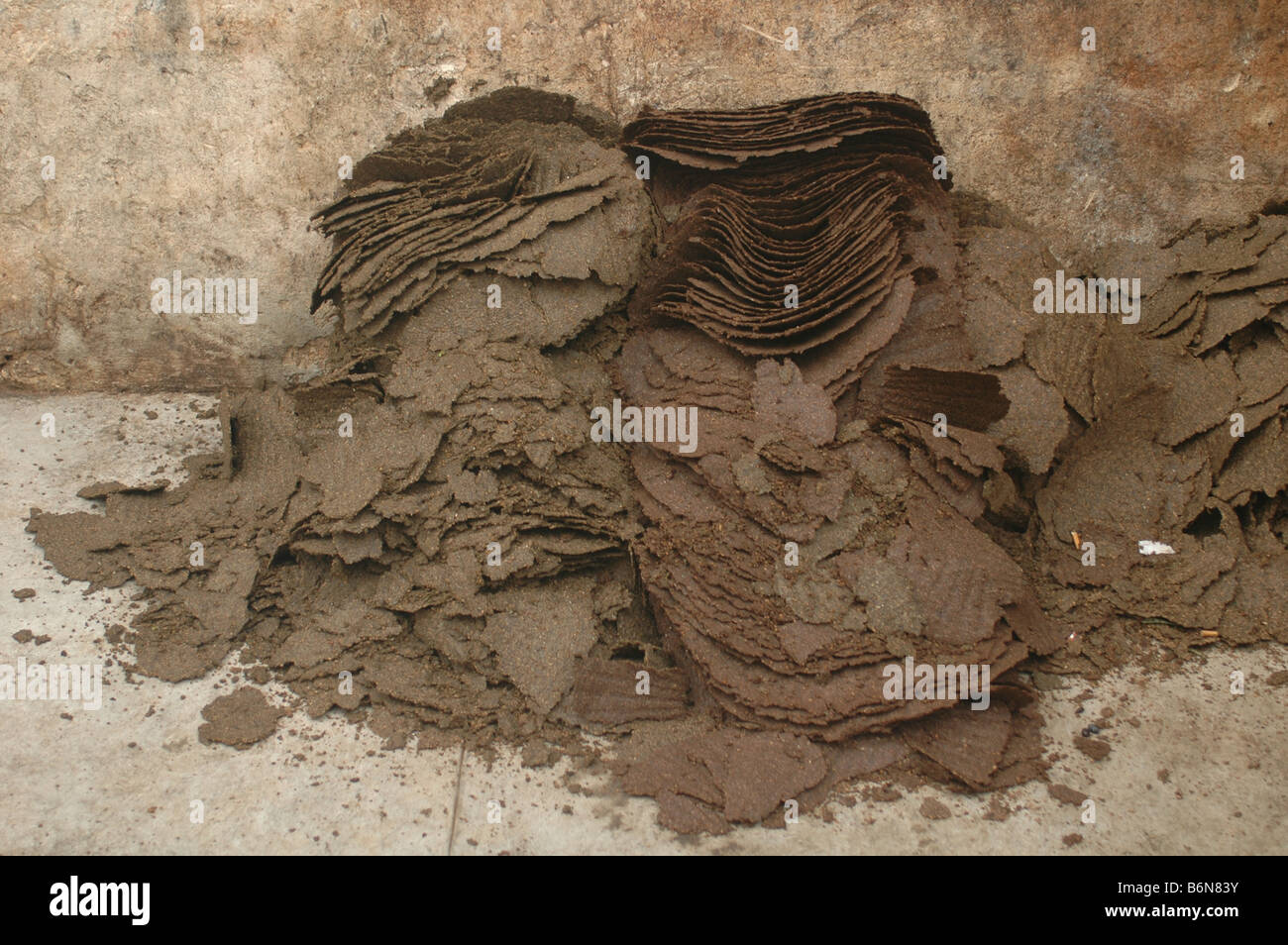 Olive pulp after press Stock Photo - Alamy