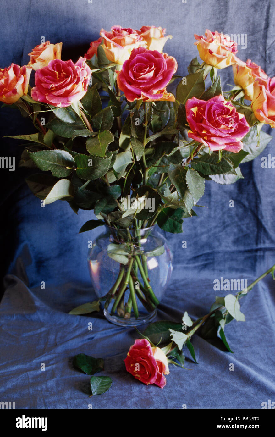 Coloured rose bouquet hi-res stock photography and images - Alamy