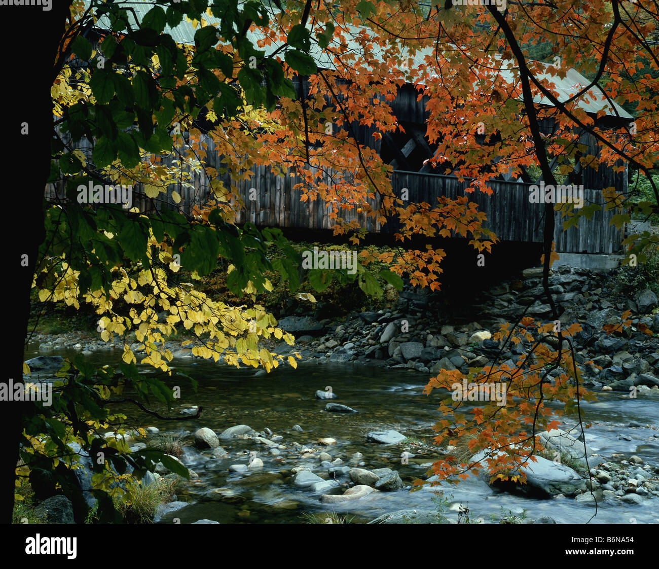 Fall Foliage with Covered Bridge Stock Photo - Alamy