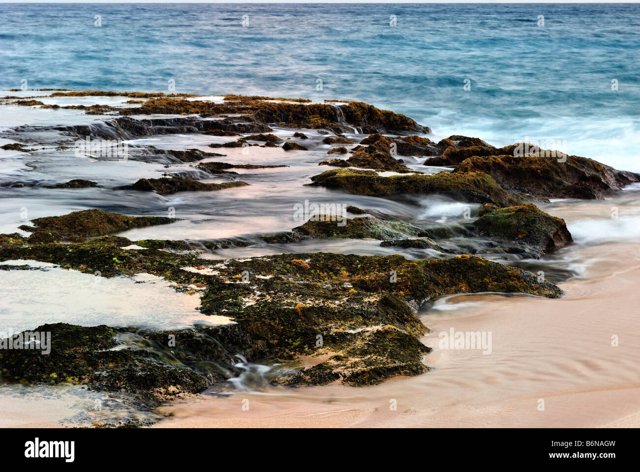 Tidal pool on the North Shore of Oahu Stock Photo - Alamy