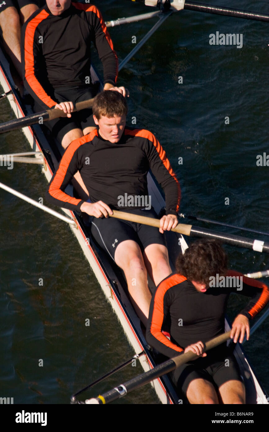 Male Scullers on the Tennessee River in Chattanooga TN Stock Photo - Alamy