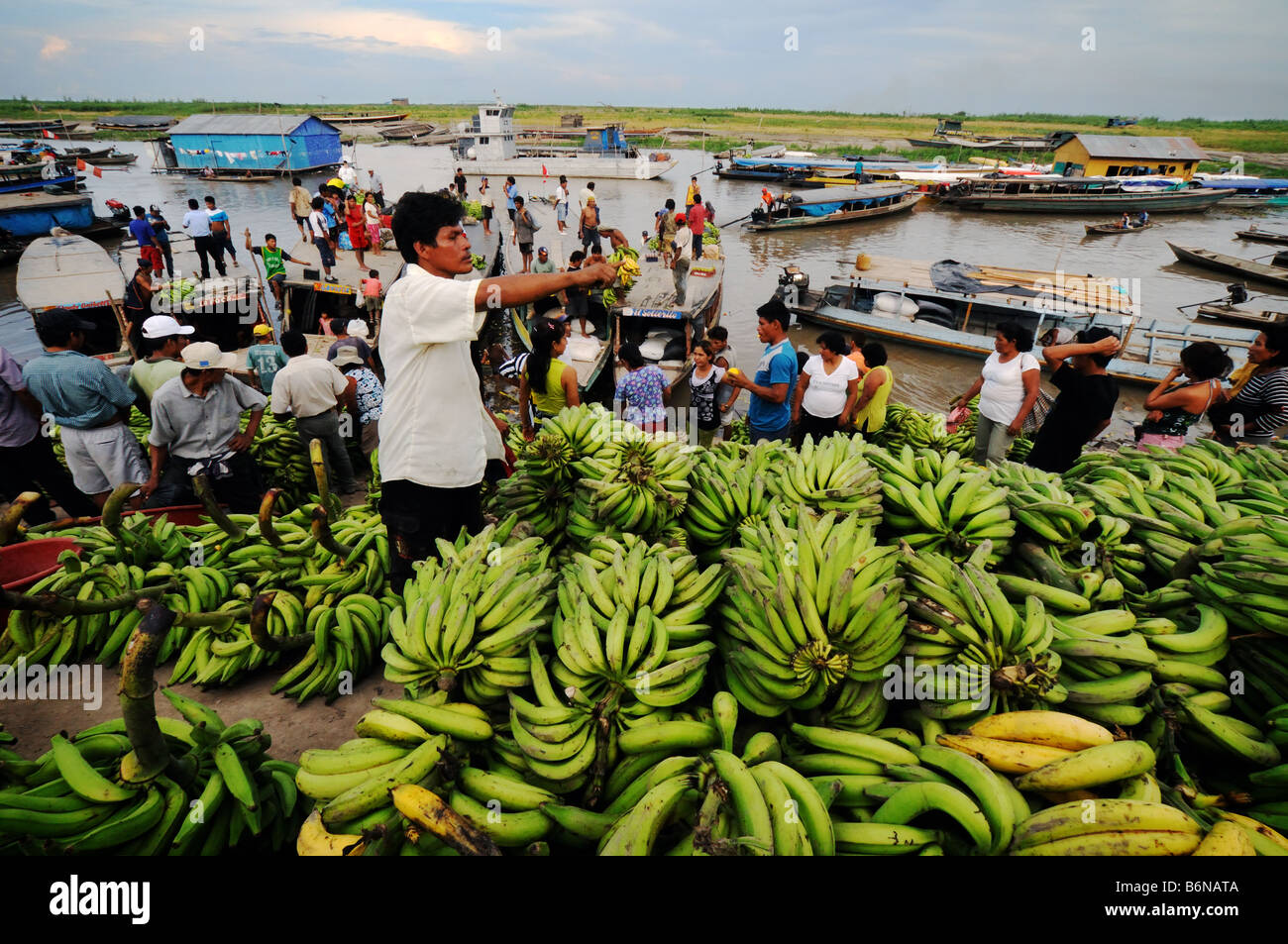 A banana market at the port in Pucallpa, Peru Stock Photo - Alamy