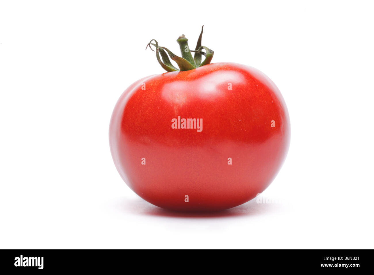 One tomato hi-res stock photography and images - Alamy
