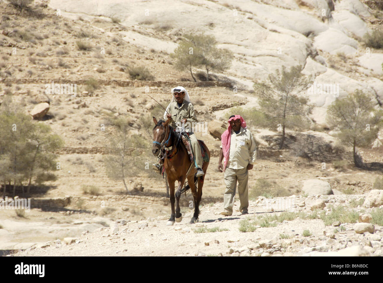 Horse and rider in Petra, Jordan Stock Photo - Alamy