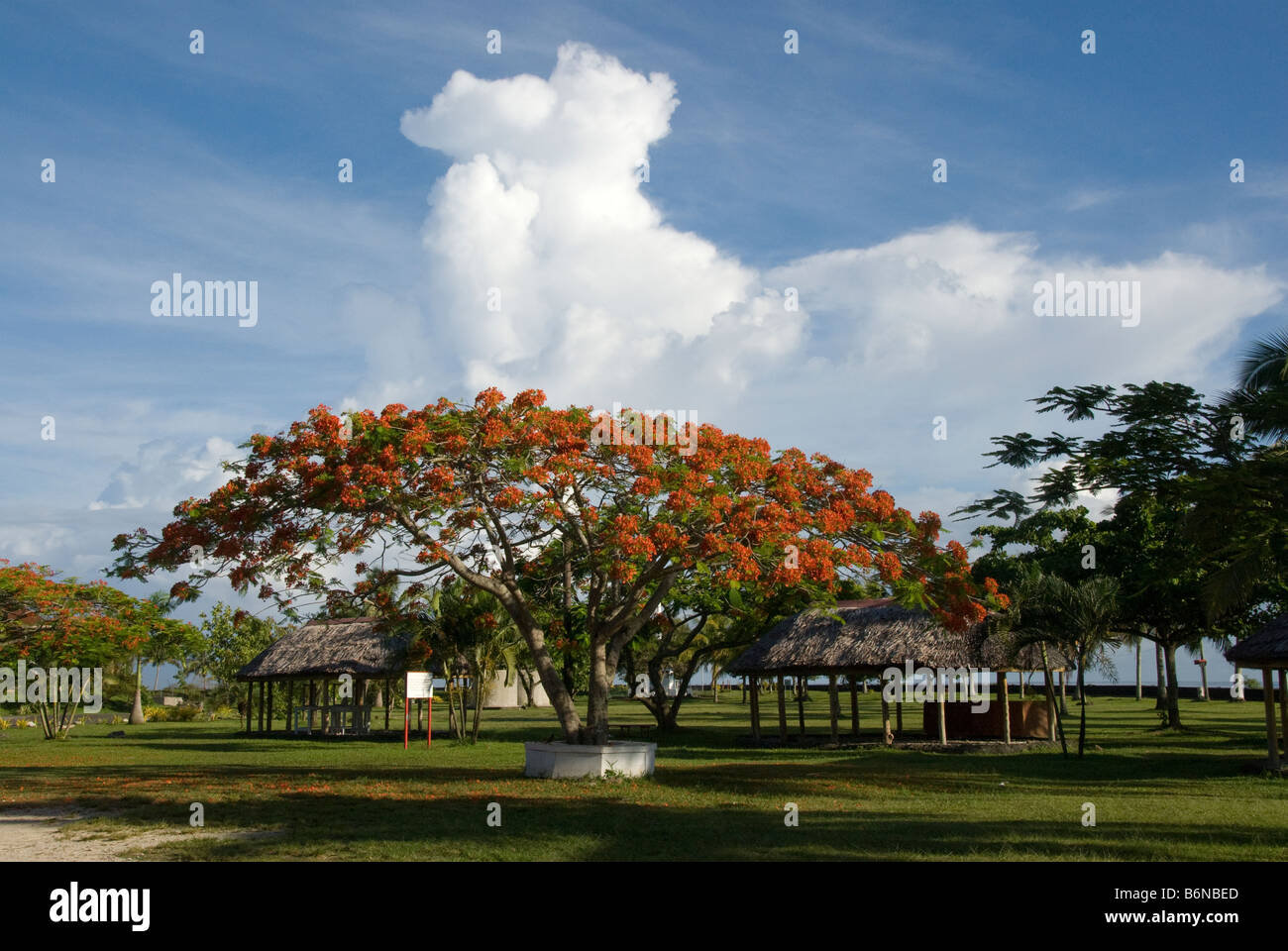Apia samoa hi-res stock photography and images - Alamy