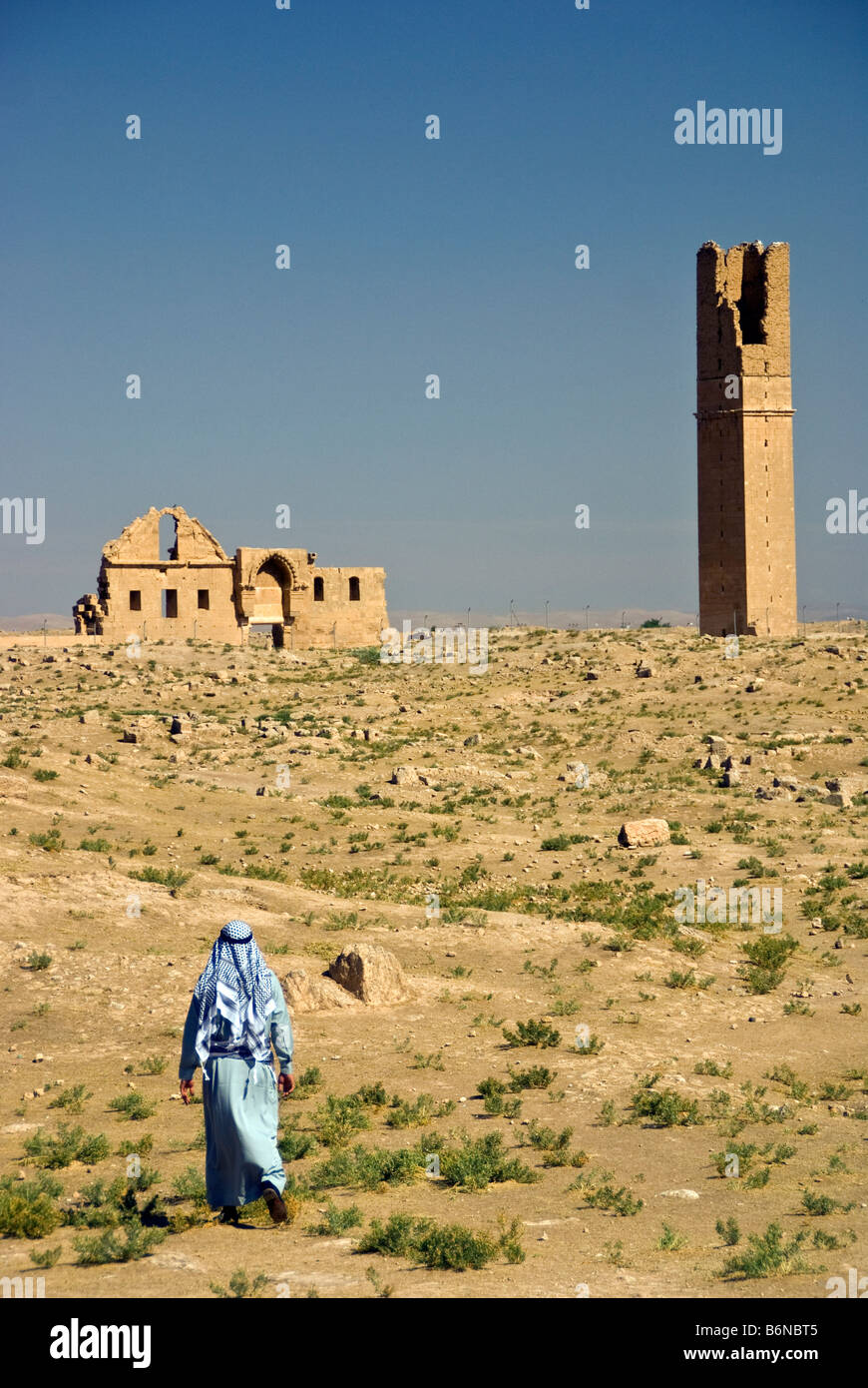 Harran ruin of ancient Ulu Camii, University of Harran Stock Photo - Alamy