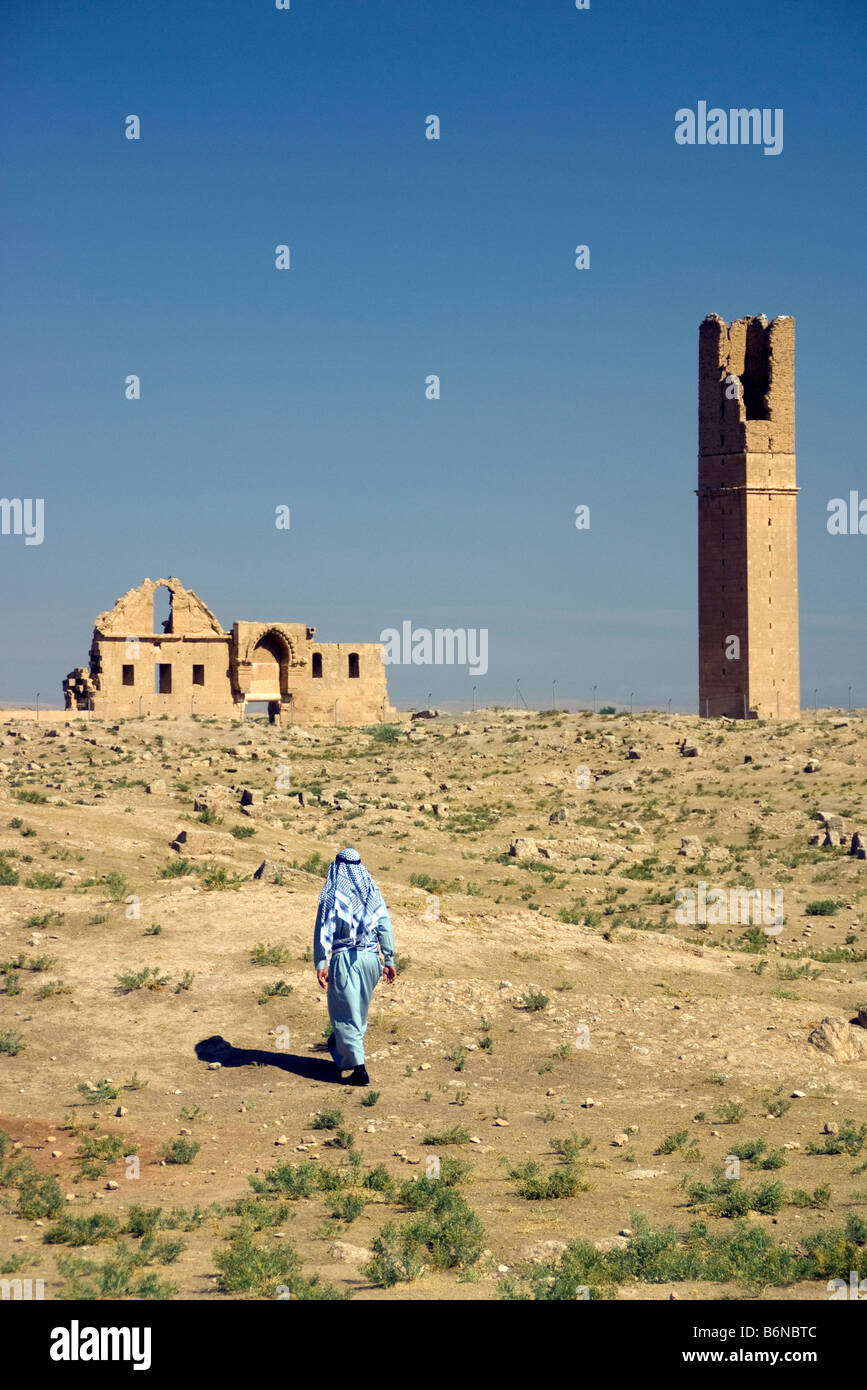 Harran ruin of ancient Ulu Camii, University of Harran, on Harran plain ...