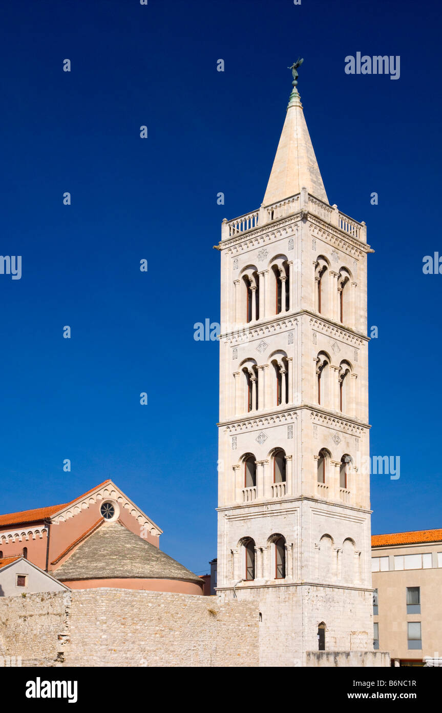 The St Anastasia s Cathedral bell tower in Zadar Croatia Stock Photo ...
