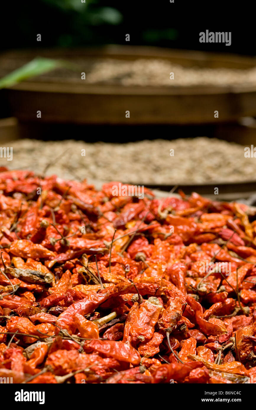 Dried Chilli Peppers Stock Photo - Alamy