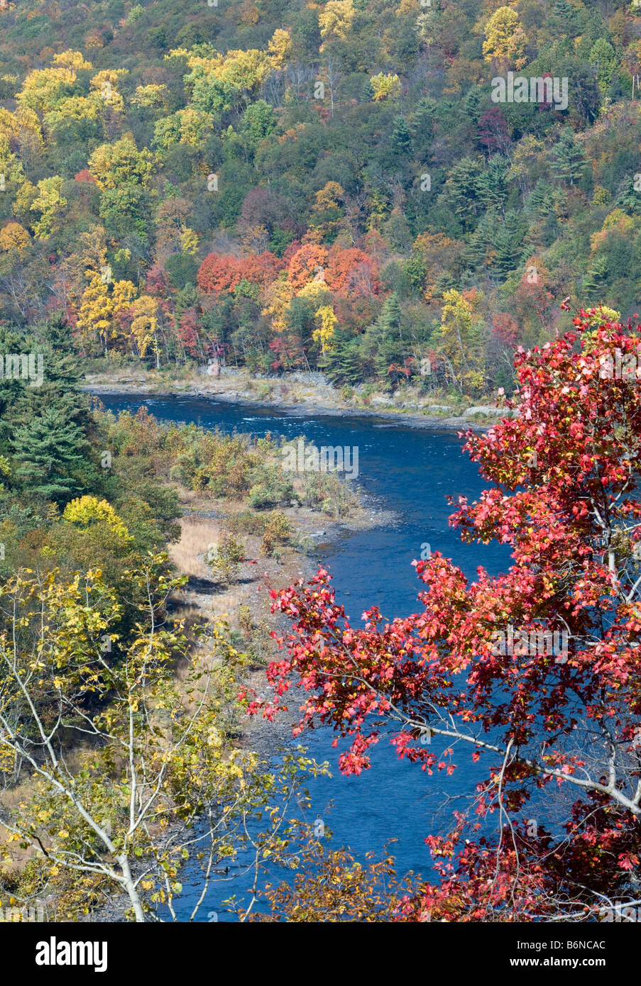 The Delaware River Pennsylvania shot in early autumn Stock Photo - Alamy