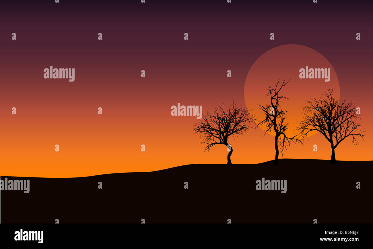 Trees at sunset Stock Photo - Alamy