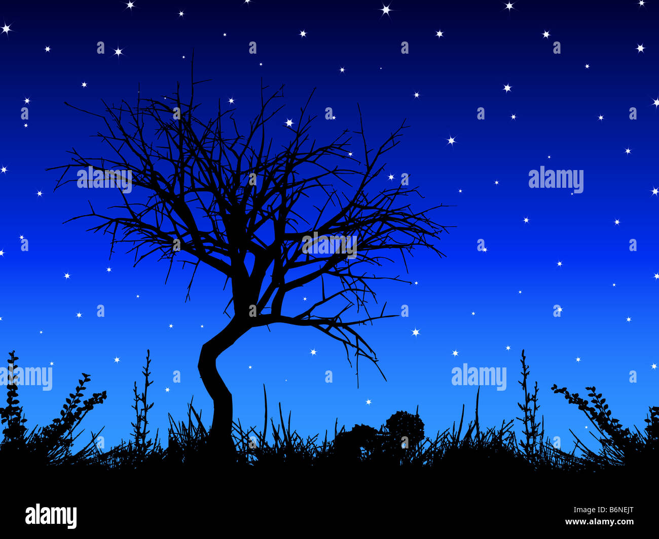 Tree on starry night Stock Photo - Alamy